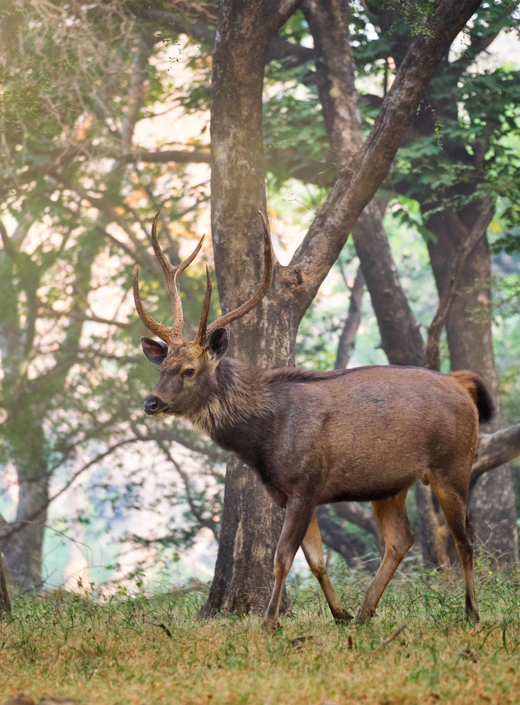 Secure Connected Habitat