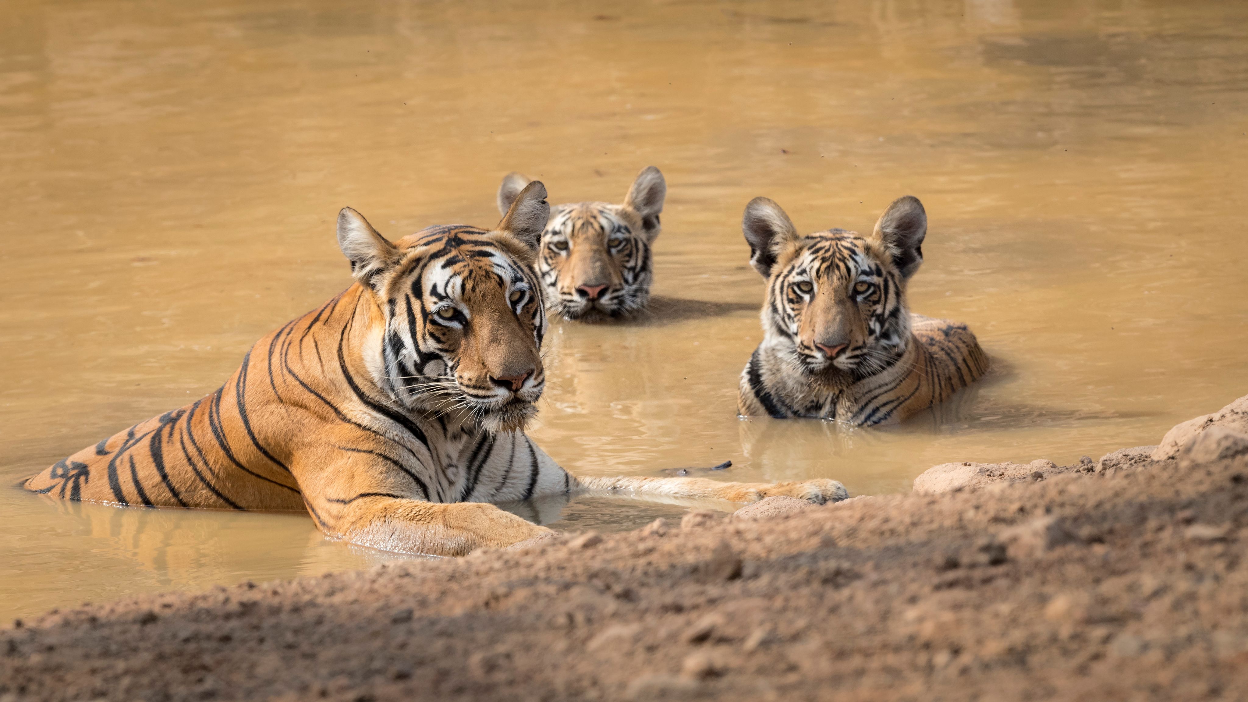 Secure Connected Habitat