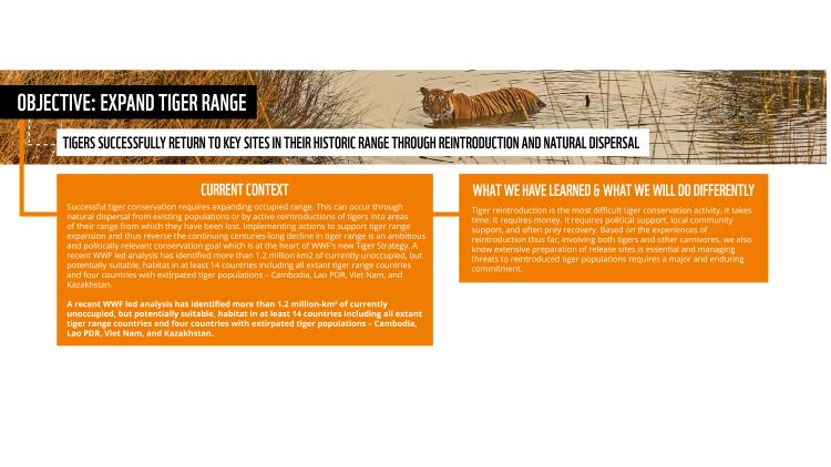 WWF Tigers Alive Initiative Strategy