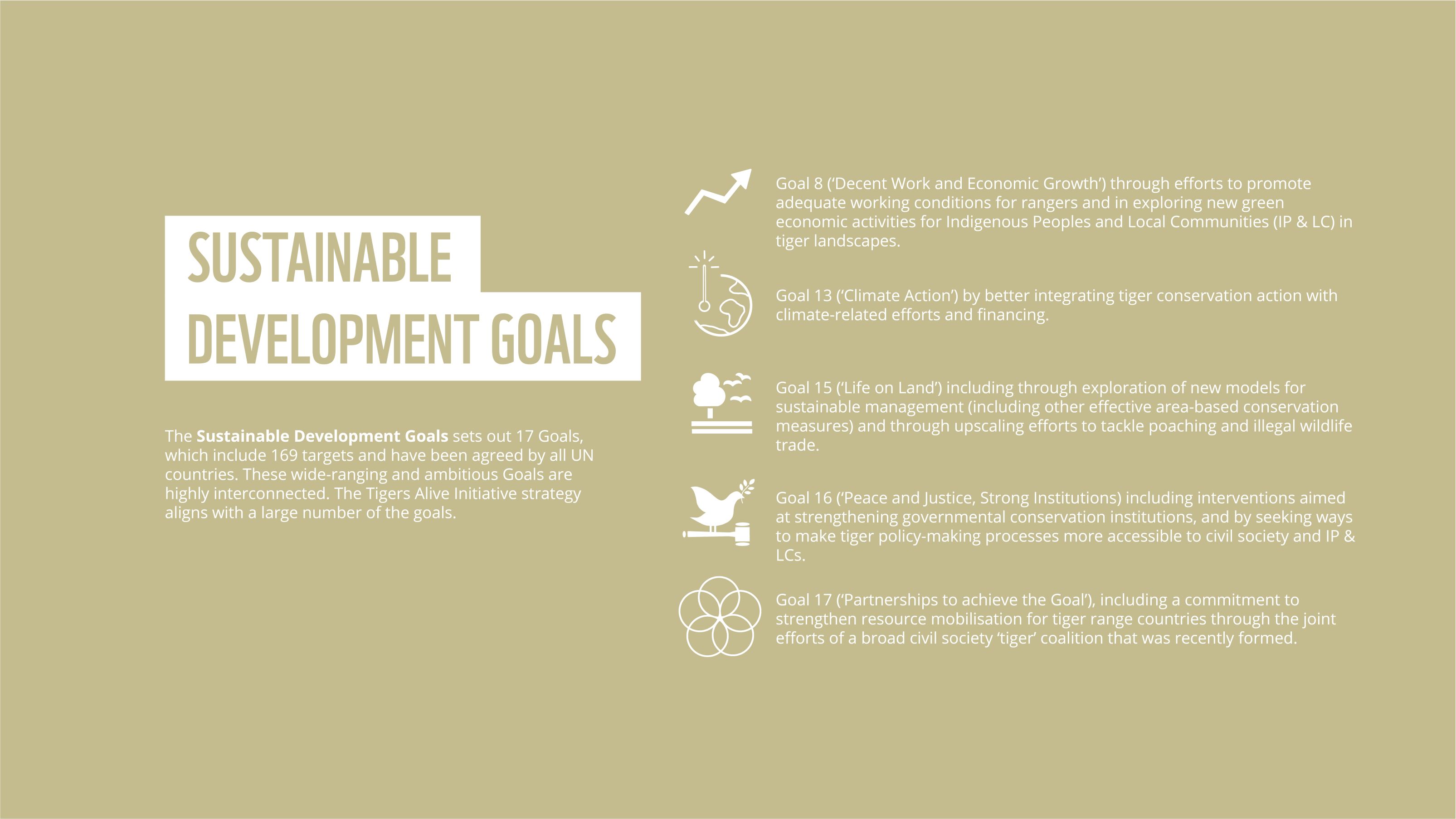 WWF Tigers Alive Initiative Strategy