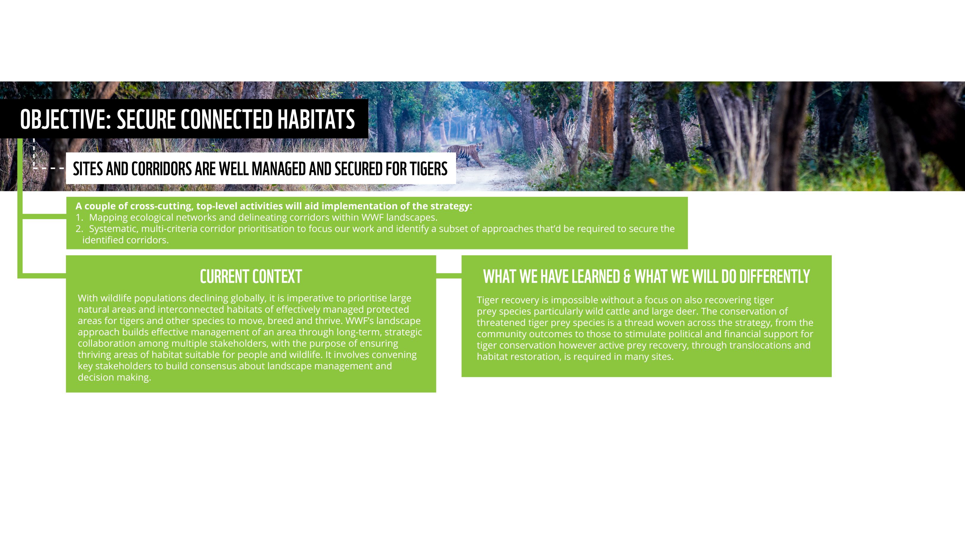 WWF Tigers Alive Initiative Strategy