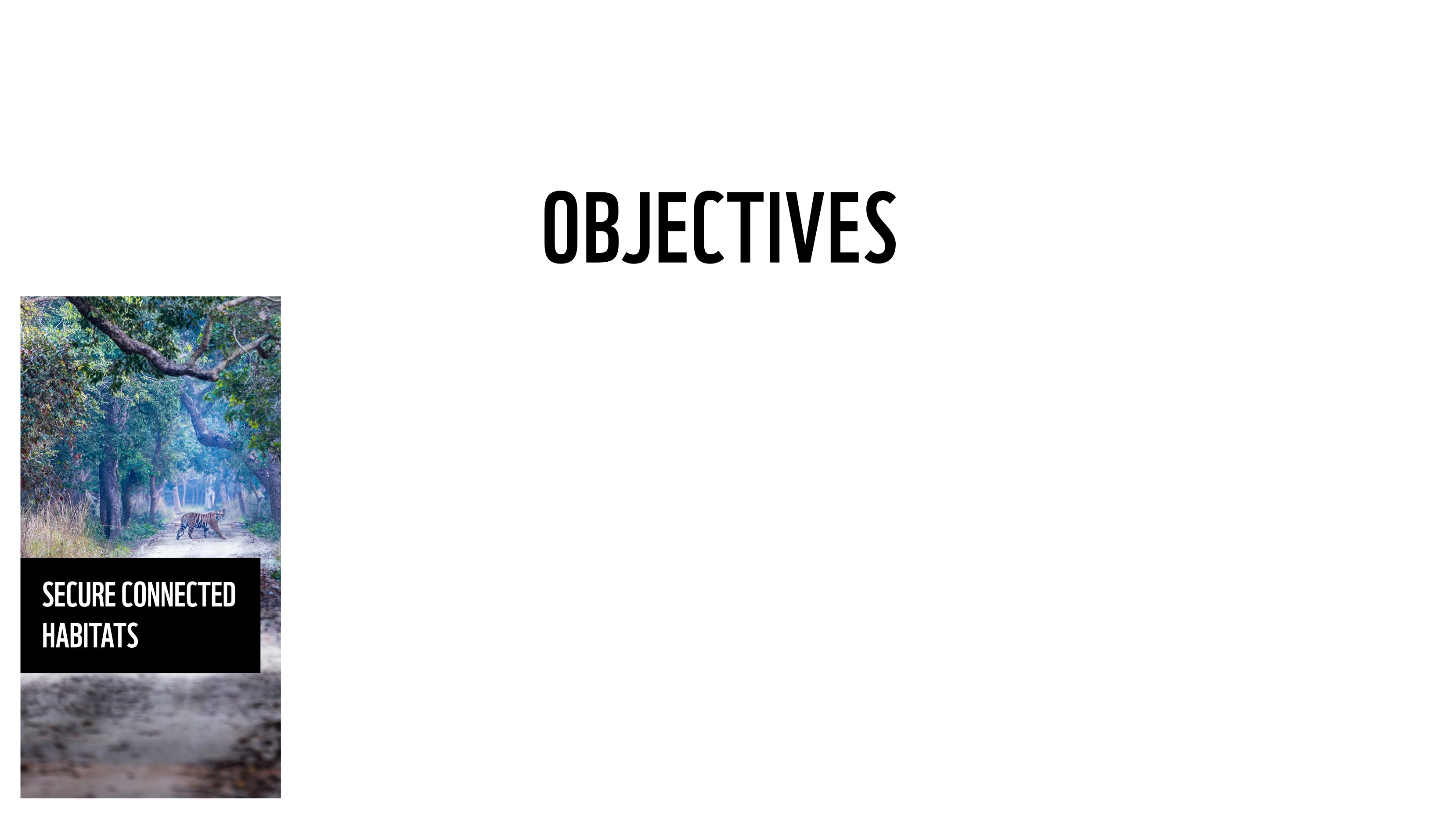 WWF Tigers Alive Initiative Strategy