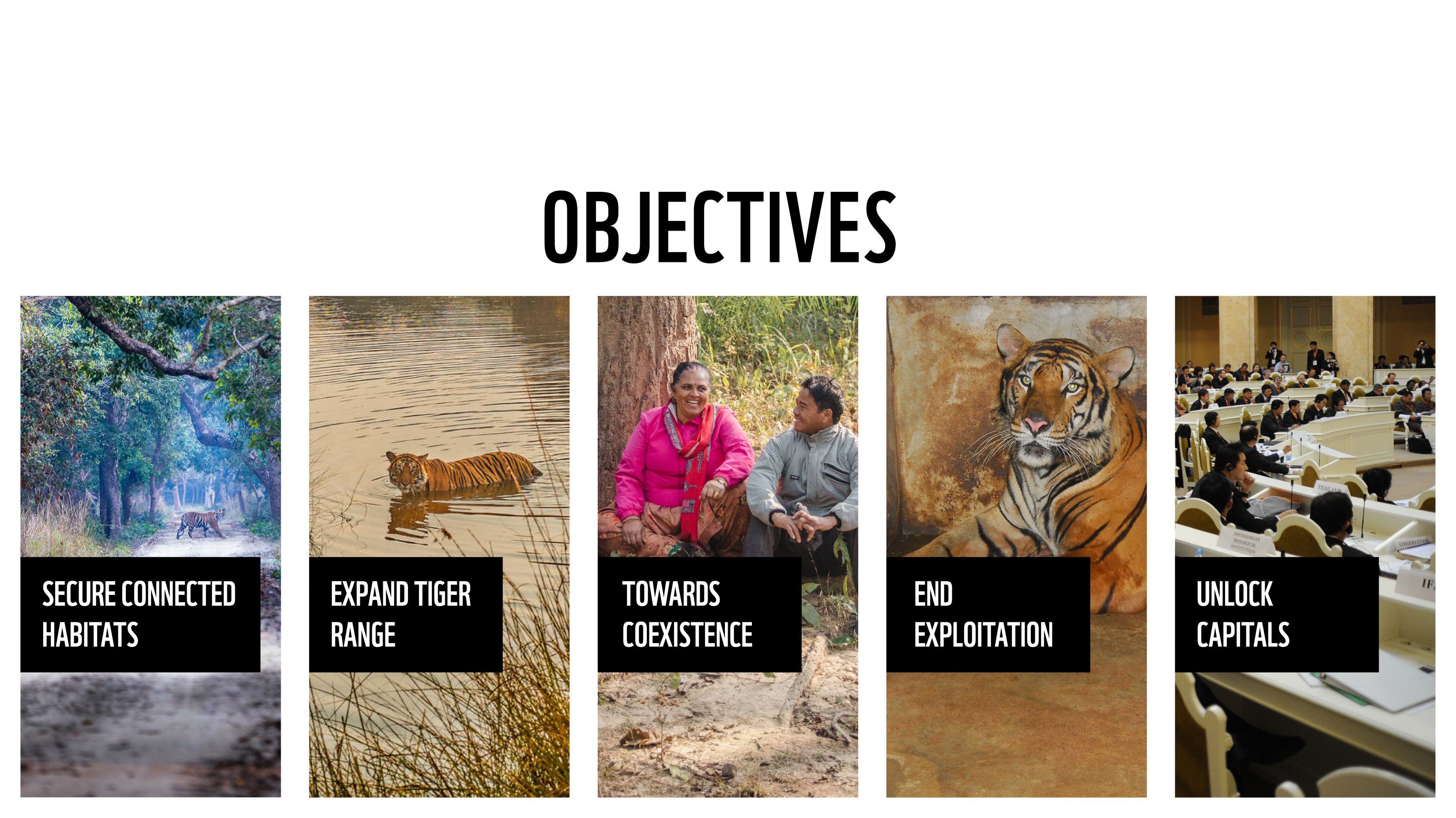 WWF Tigers Alive Initiative Strategy
