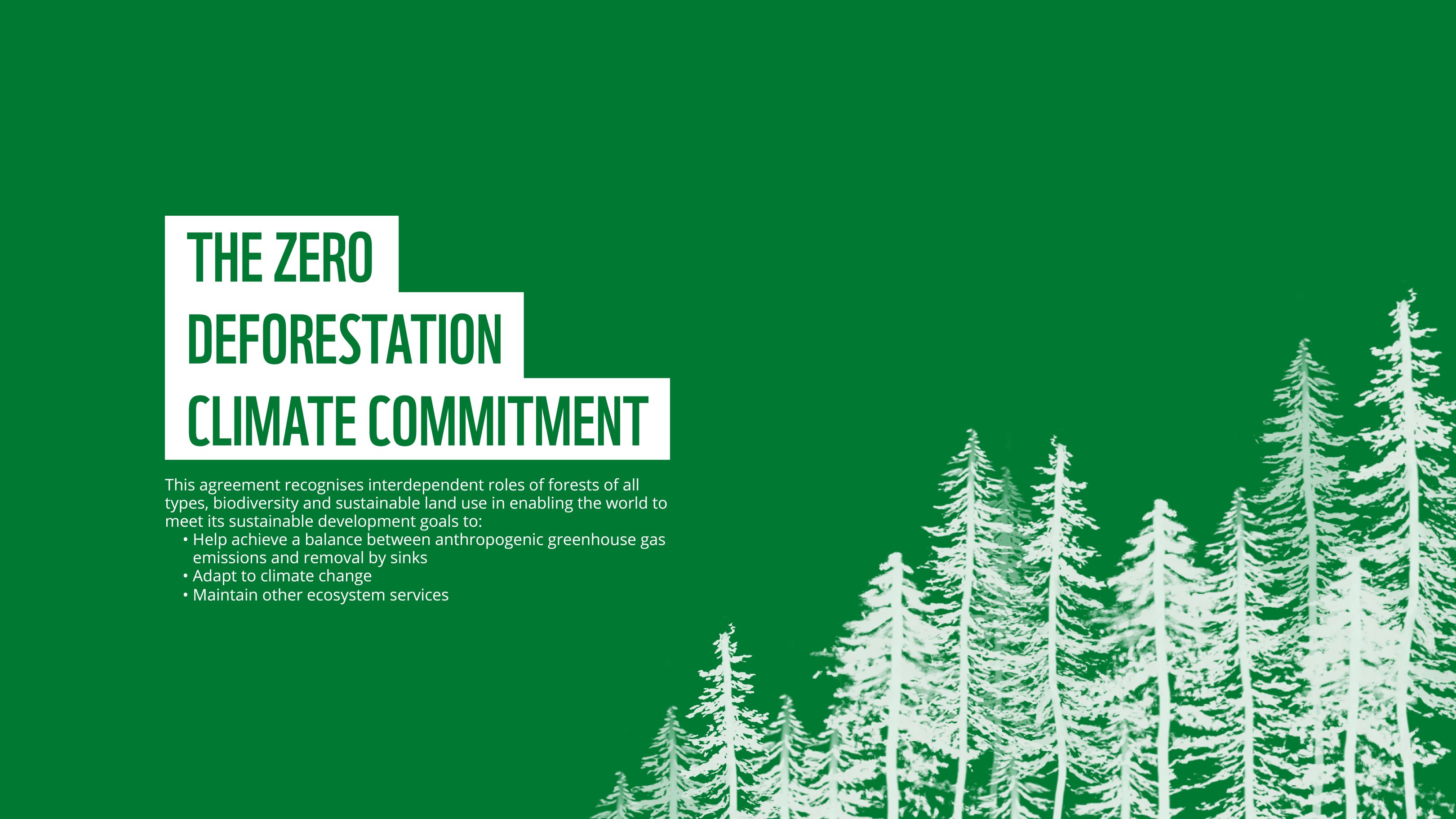 WWF Tigers Alive Initiative Strategy