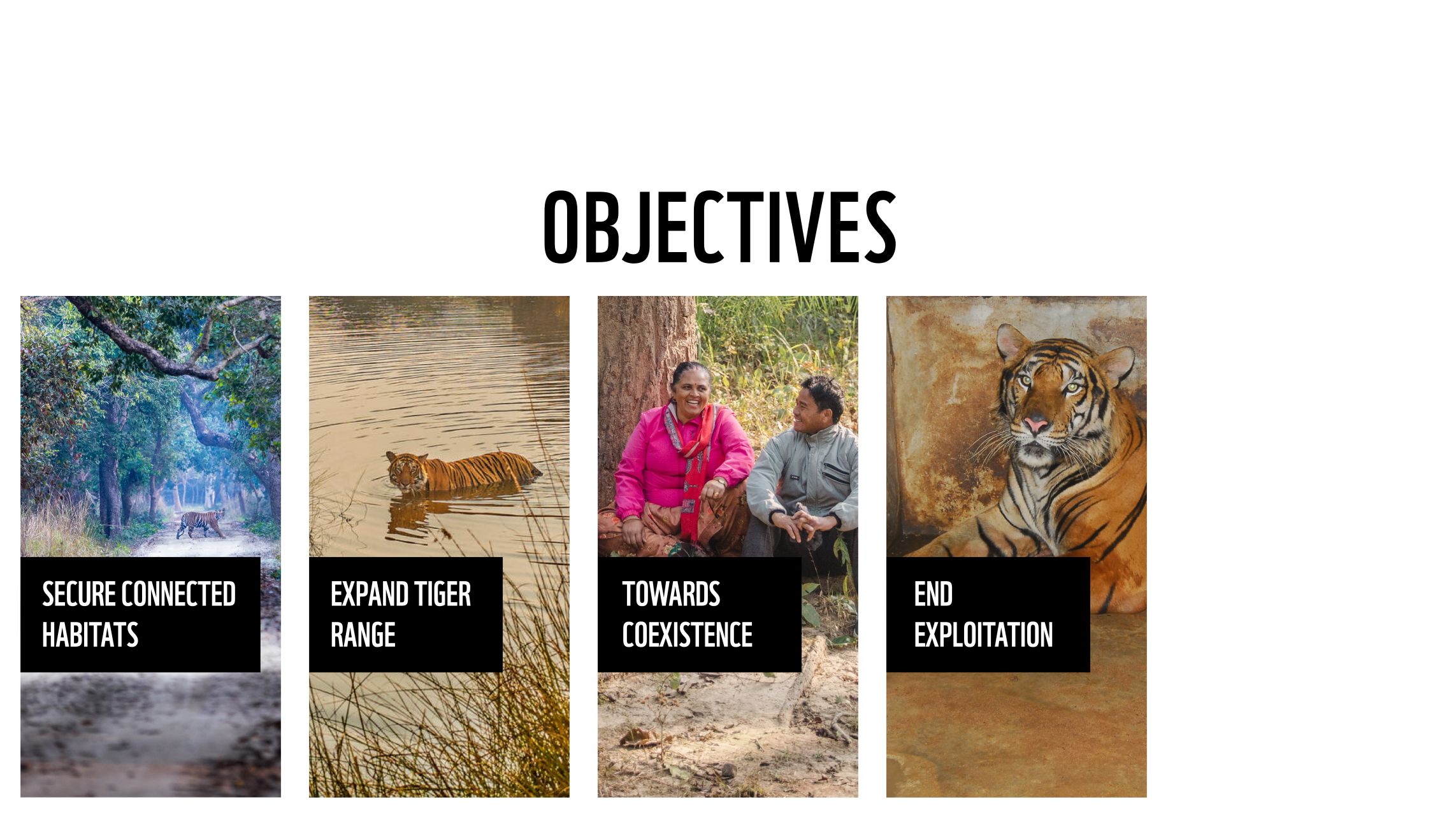 WWF Tigers Alive Initiative Strategy
