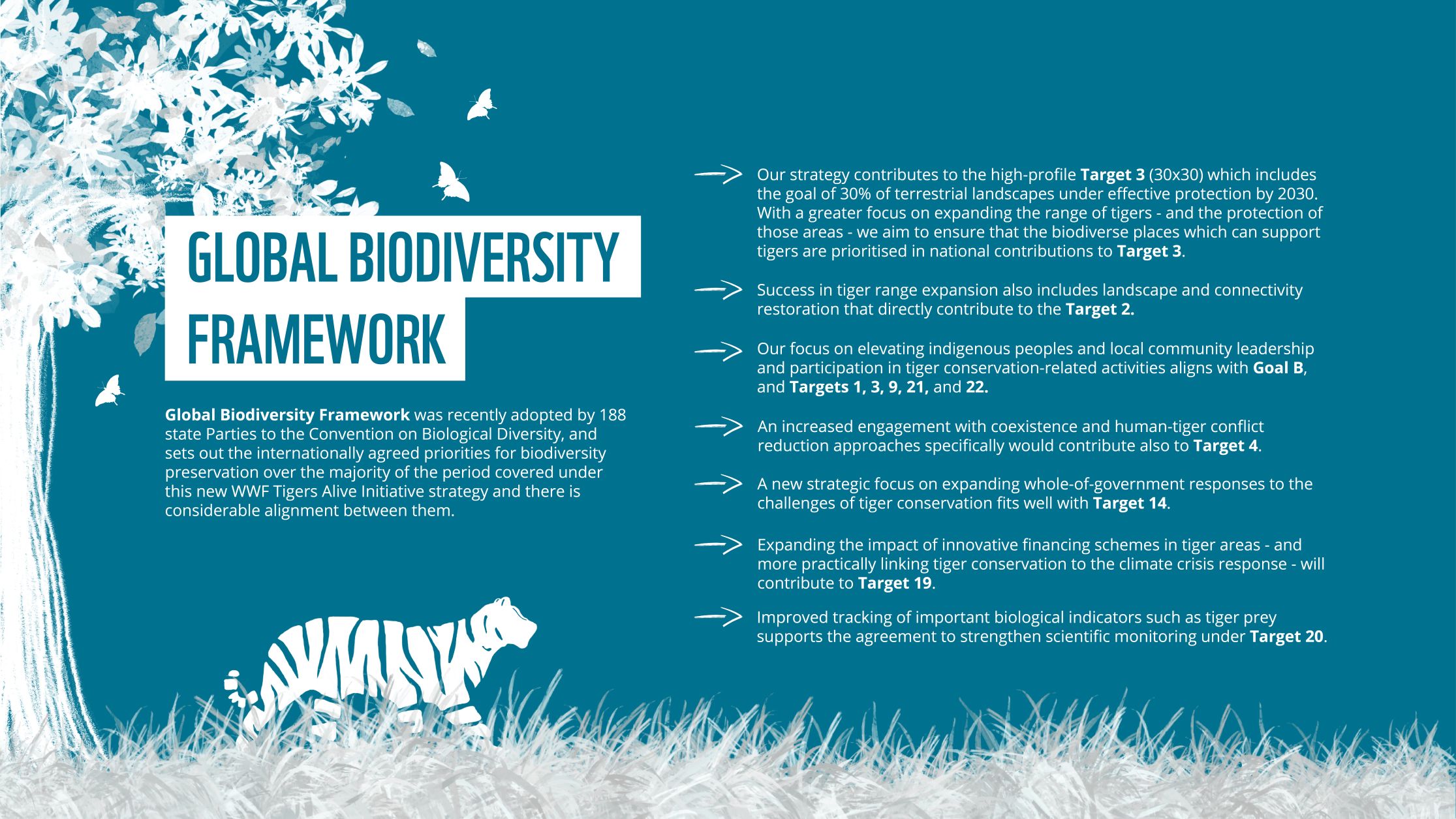 WWF Tigers Alive Initiative Strategy