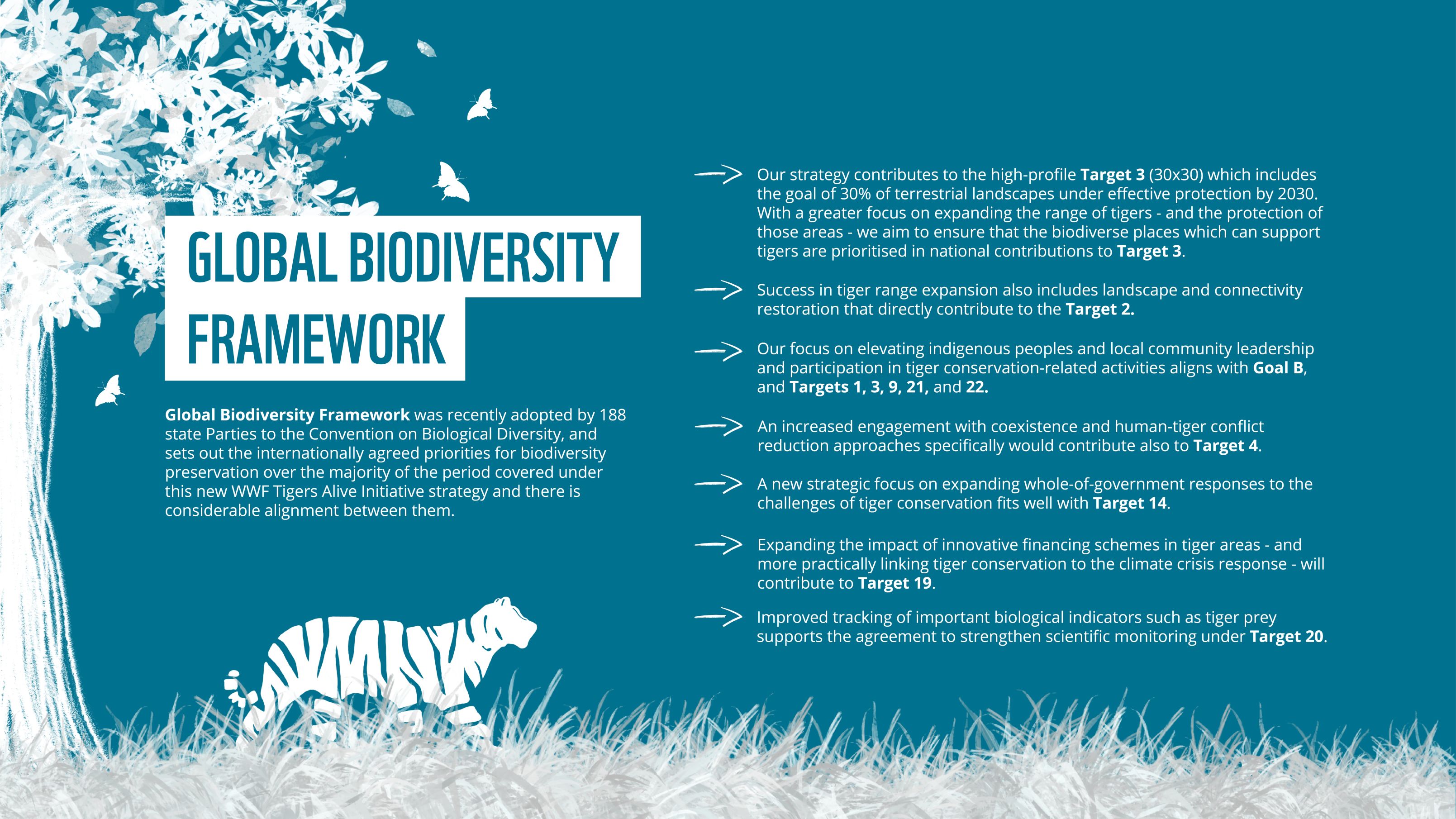 WWF Tigers Alive Initiative Strategy