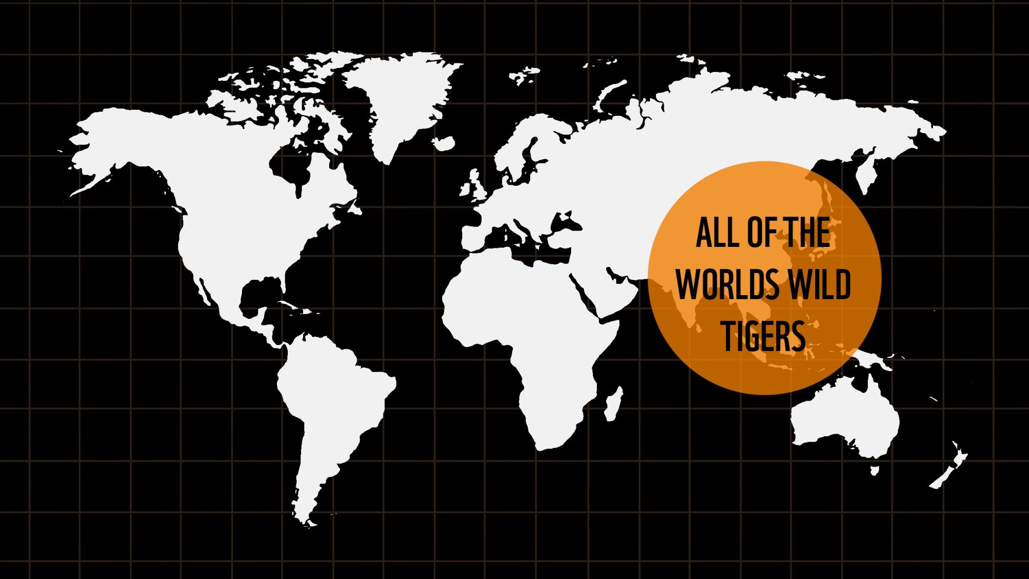 WWF Tigers Alive Initiative Strategy