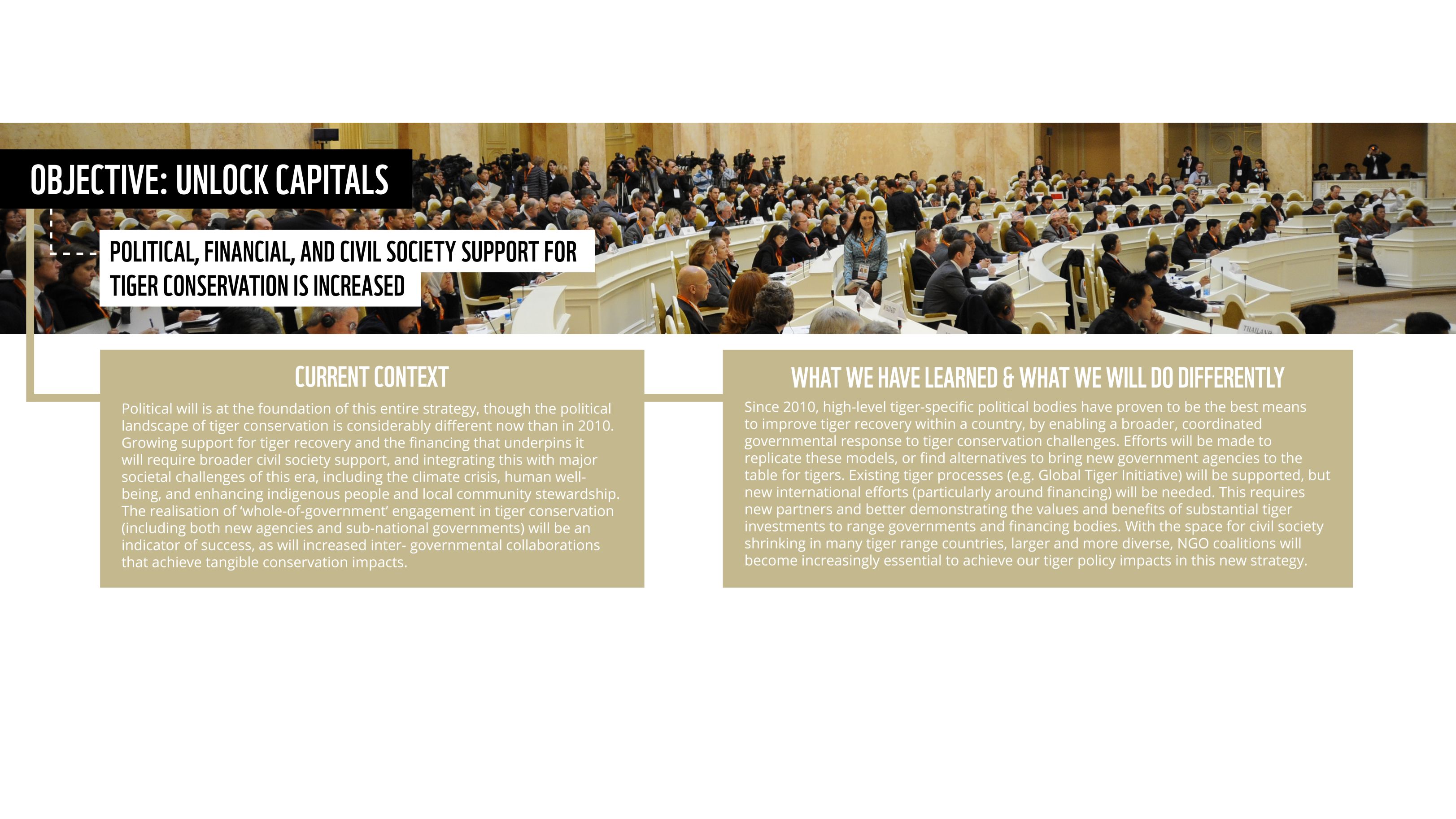 WWF Tigers Alive Initiative Strategy