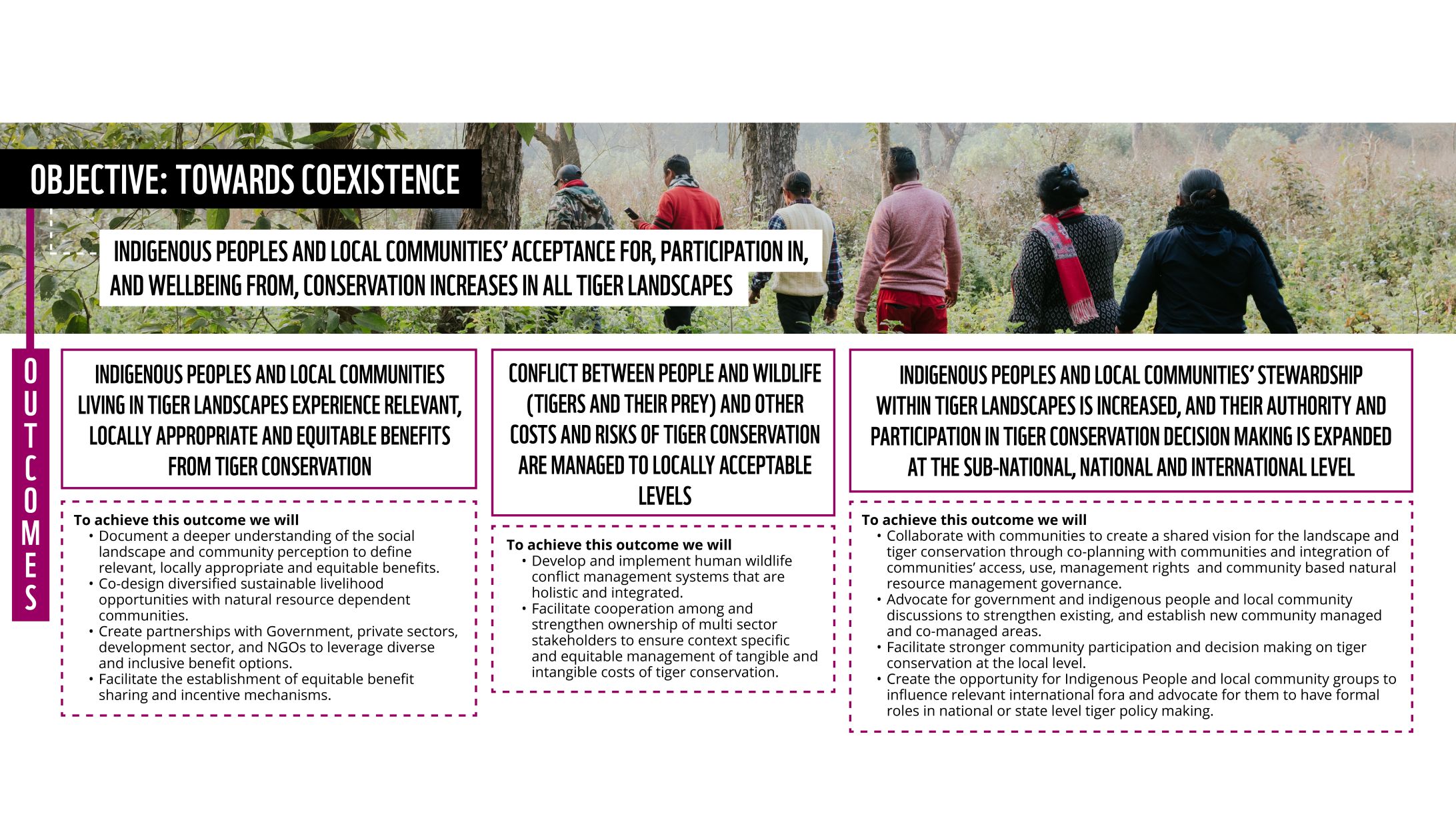 WWF Tigers Alive Initiative Strategy