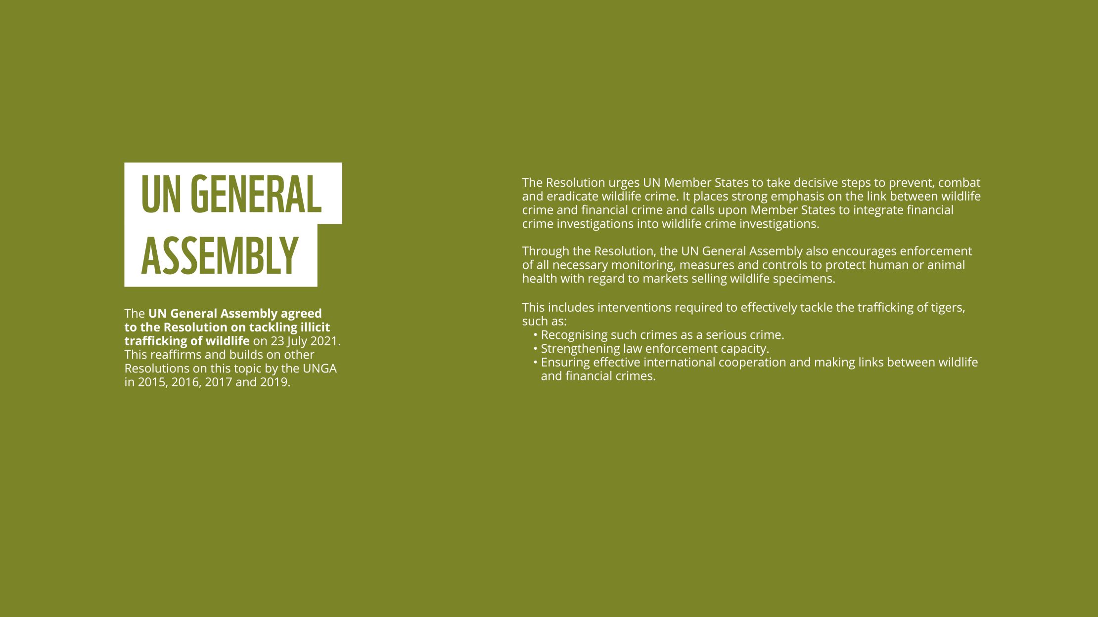 WWF Tigers Alive Initiative Strategy