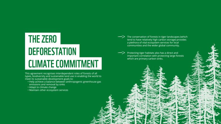 WWF Tigers Alive Initiative Strategy