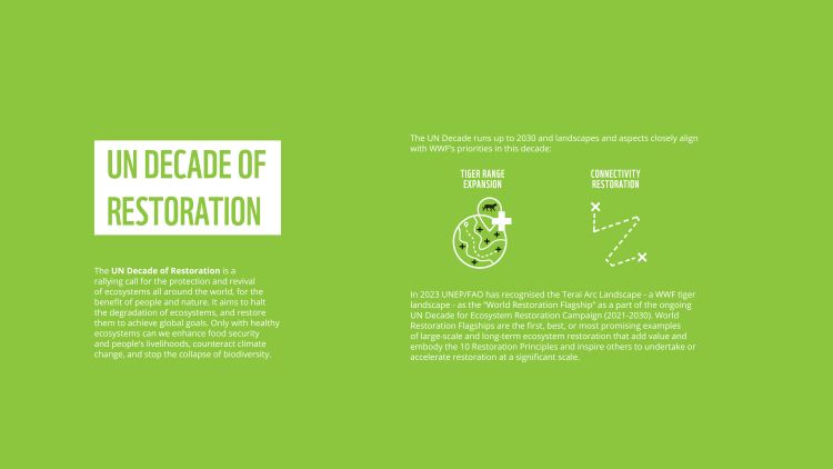 WWF Tigers Alive Initiative Strategy