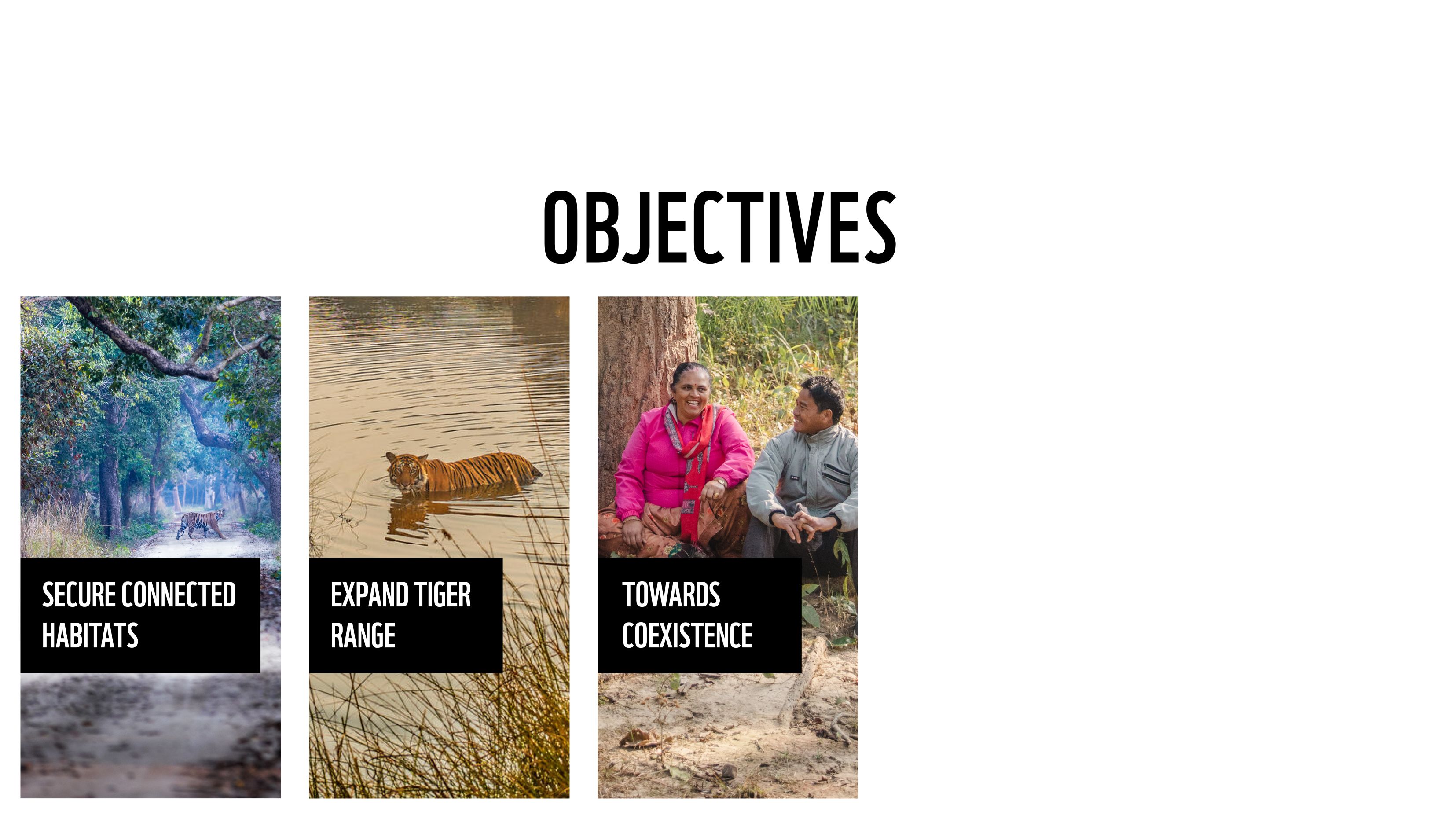 WWF Tigers Alive Initiative Strategy