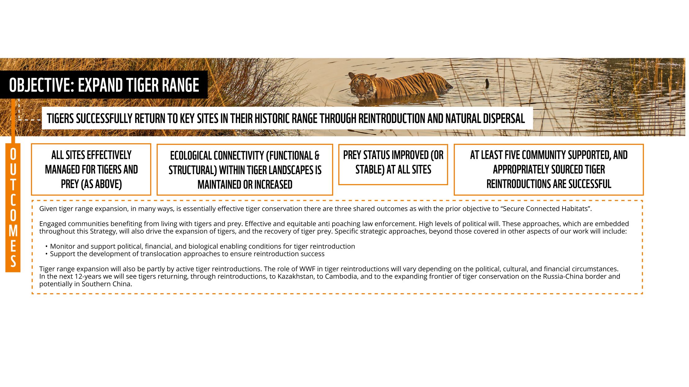 WWF Tigers Alive Initiative Strategy