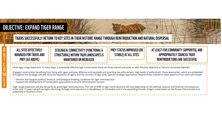WWF Tigers Alive Initiative Strategy