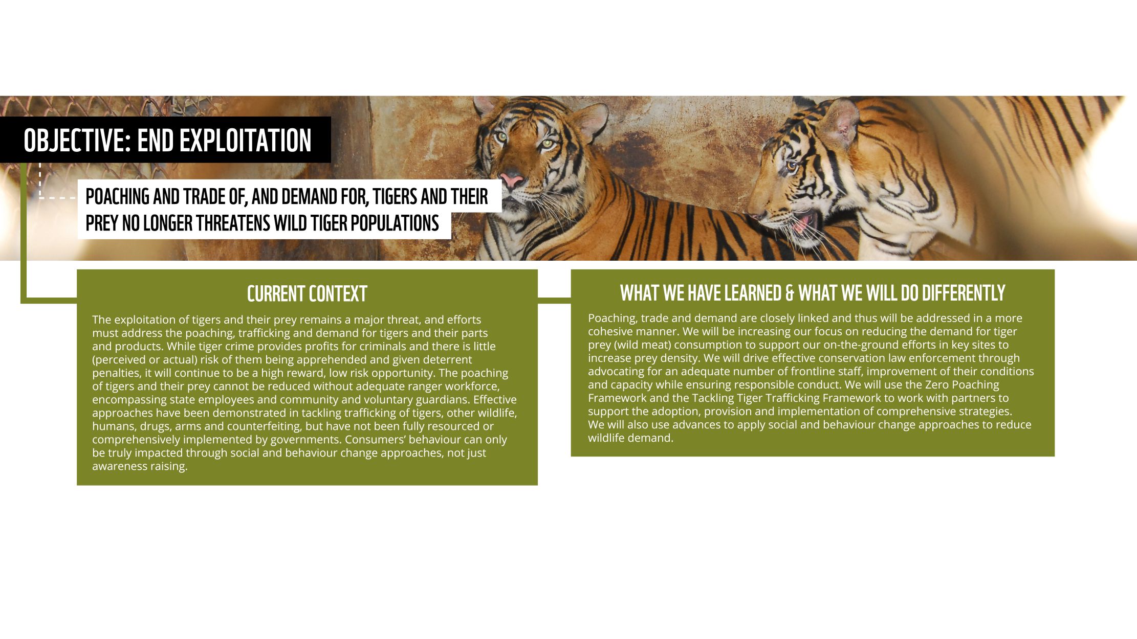 WWF Tigers Alive Initiative Strategy