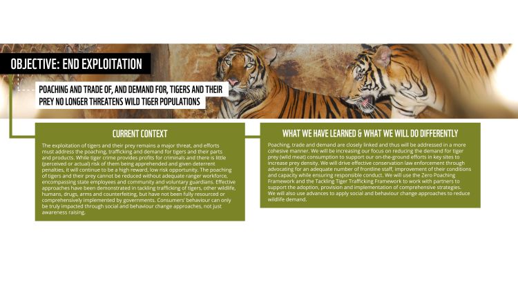 WWF Tigers Alive Initiative Strategy